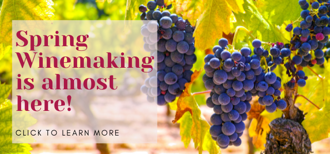 Juice Grape - Home of Musto Wine Grape Co.